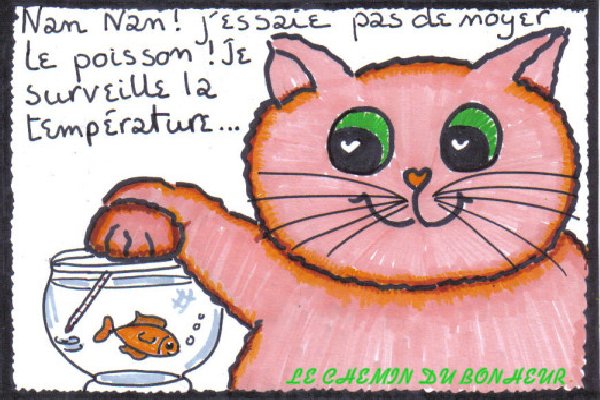 L’art et la manière de « noyer le poisson » – Profession Gendarme