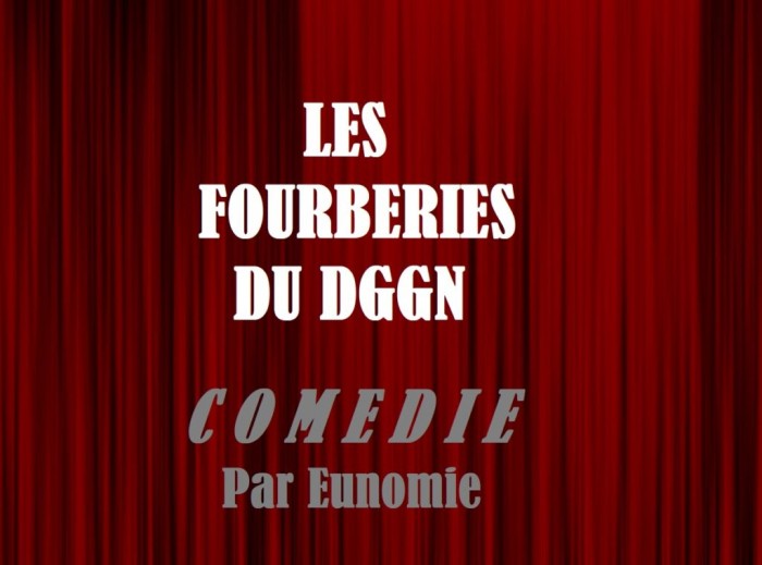 Le DGGN se soustrait aux questions des représentants de la Nation ...